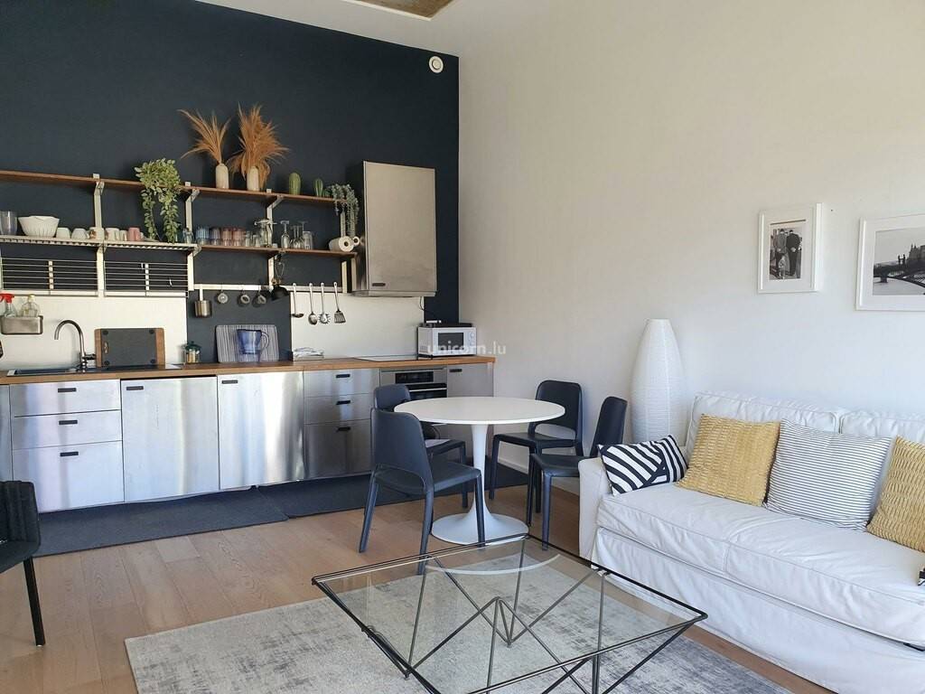 Rent Apartment Luxembourg. 1-bedroom flat, Ground floor, parking space ...
